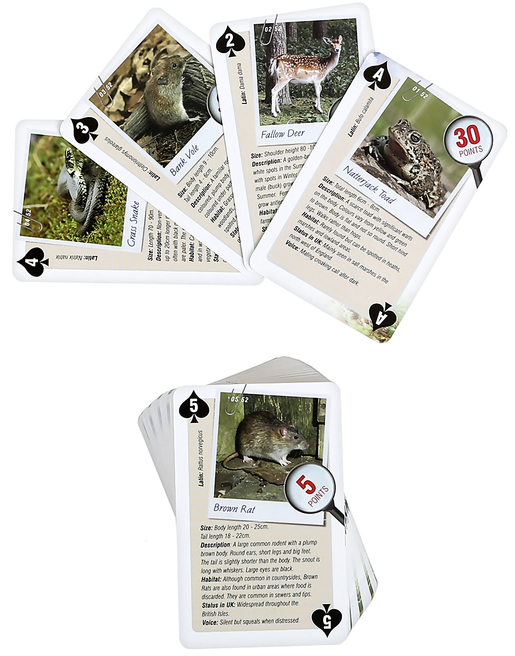 store.bg - Wild Animals of the British Isles - Карти за игра